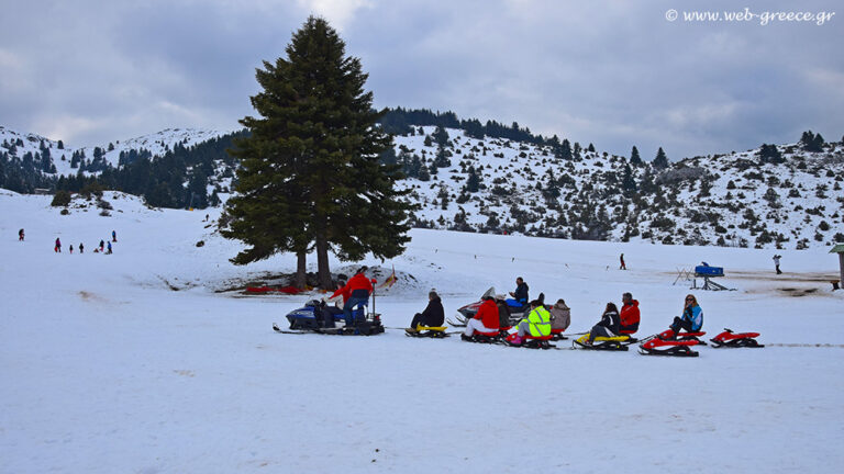 ΧΙΟΝΟΔΡΟΜΙΚΟ ΚΕΝΤΡΟ ΜΑΙΝΑΛΟΥ - holidaysgreece.gr